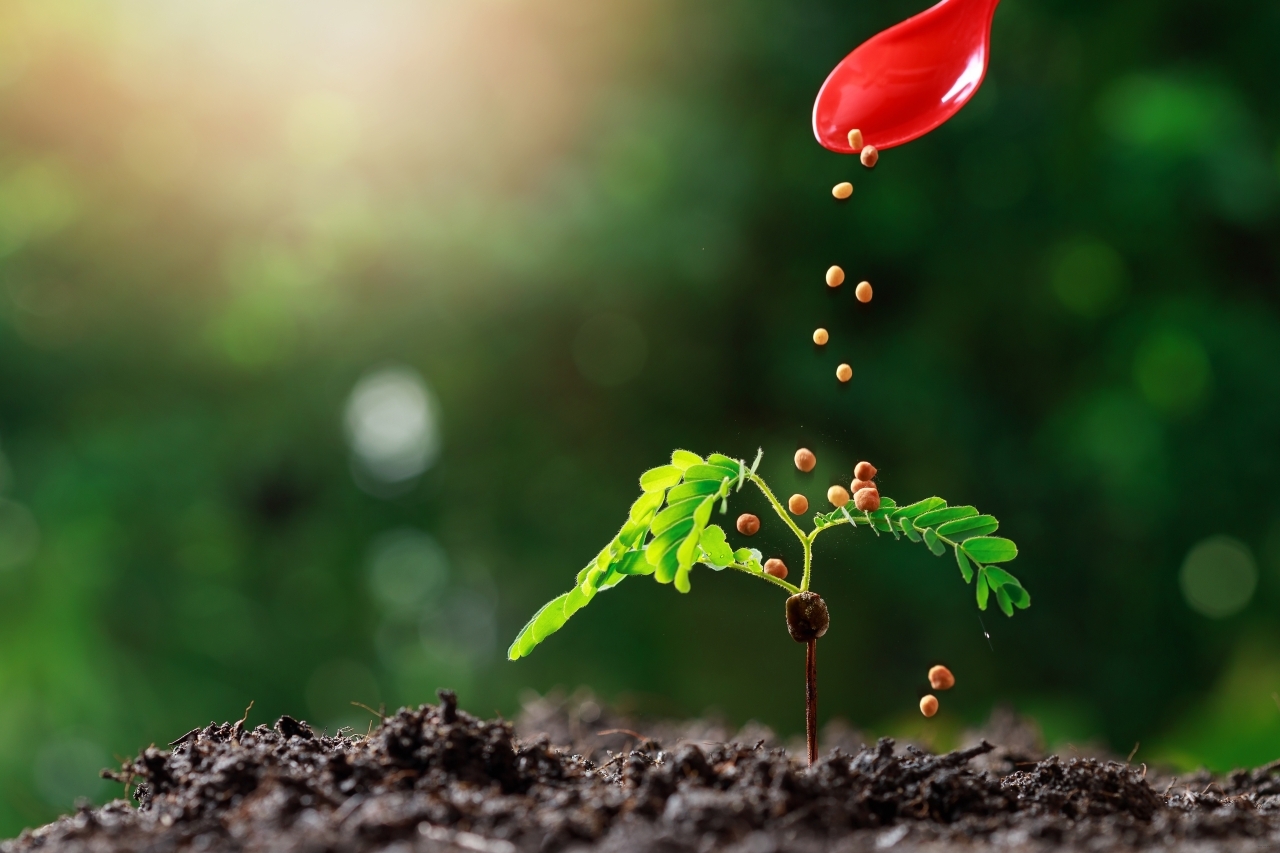 Canada PMRA Pesticide Approvals Hit Record High in 2025 | ChemLinked