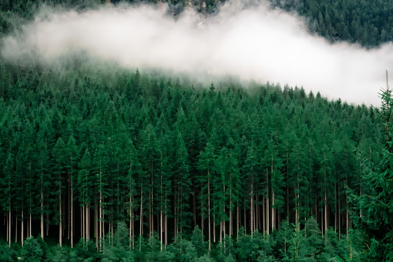 Regulatory Storm Incoming! Canada's PMRA Releases New "Continuous ...