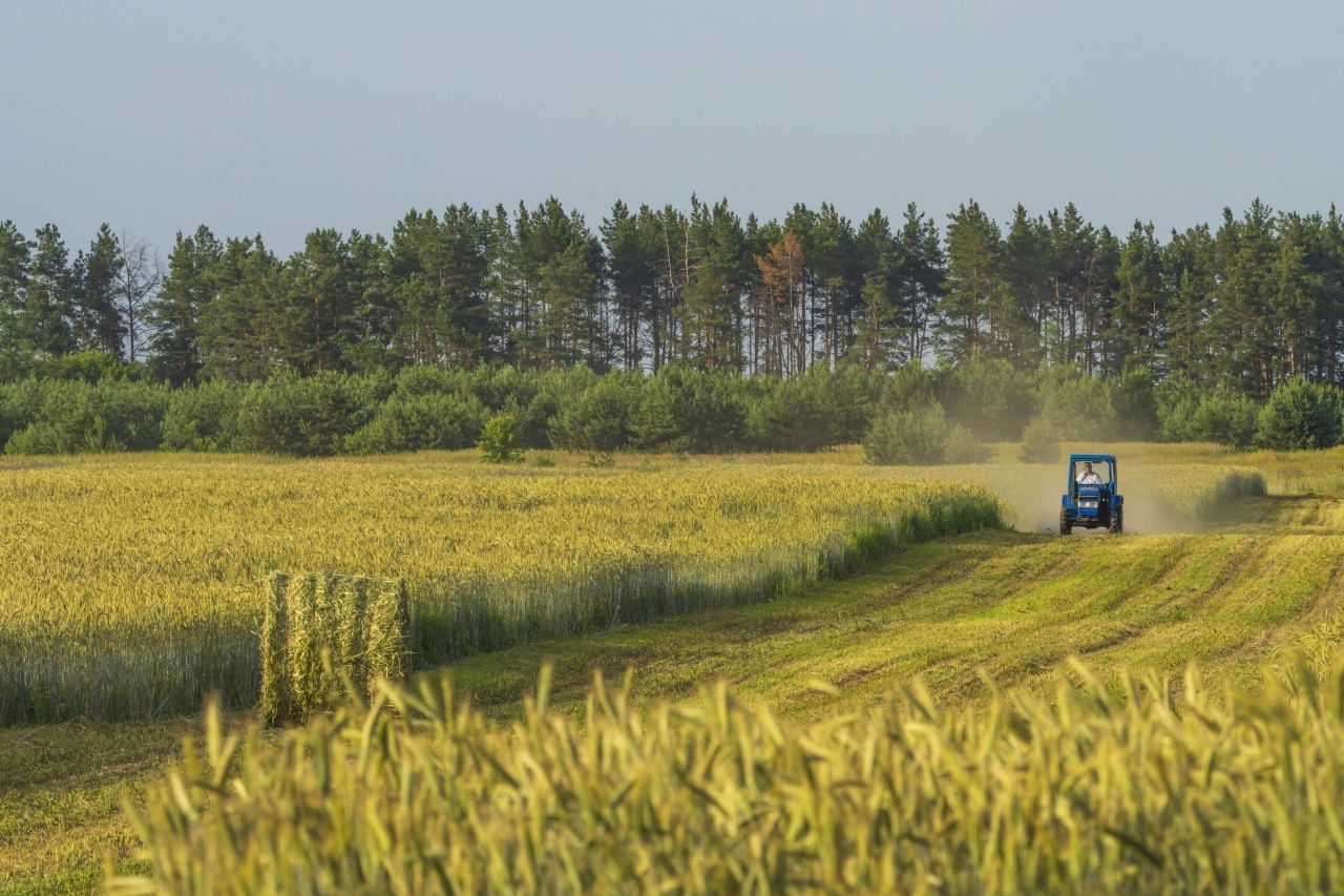 China ICAMA Working to Complete Bismerthiazol TC Registration | ChemLinked