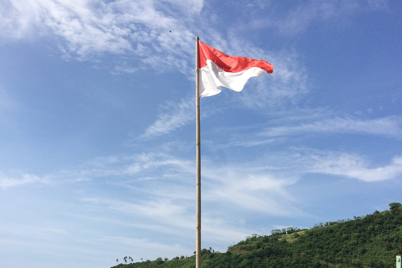 Indonesia Clarifies Ingredient Origin and Halal Labeling Requirements ...