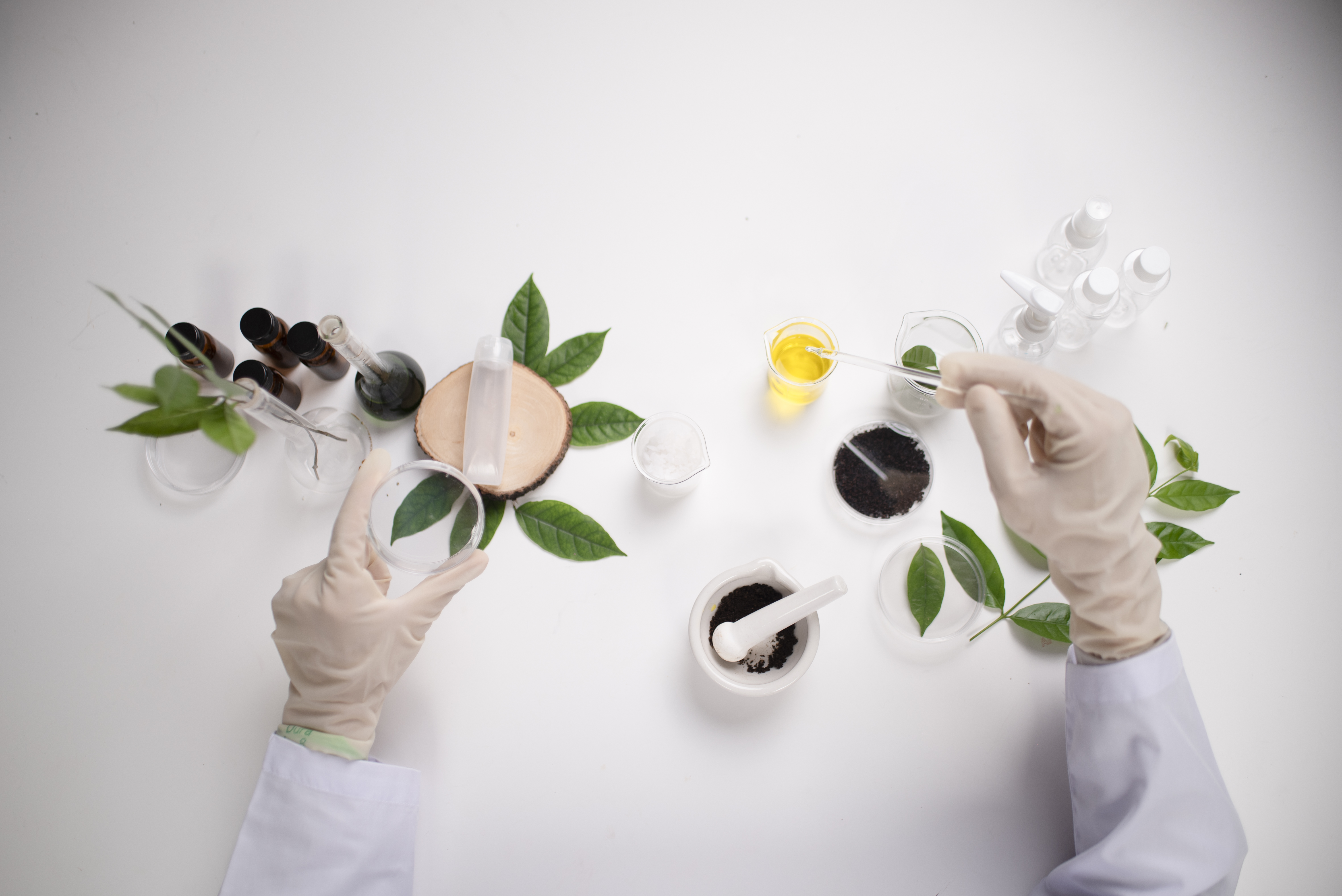 CMR Substances in Cosmetics: Regulatory Similarities and Differences ...