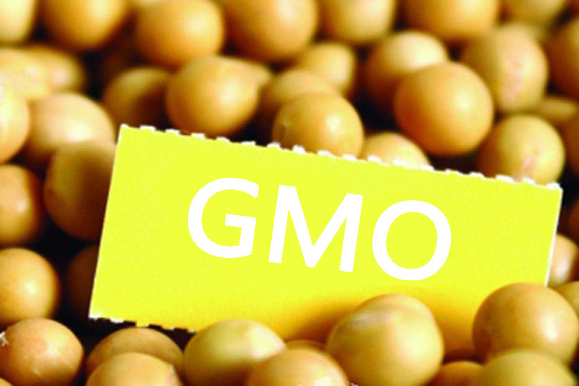China Revises GMO Regulations | ChemLinked