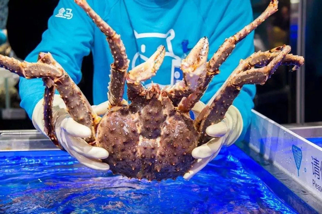 Seafood Market in China: Increasing Demand for Imported Products ...