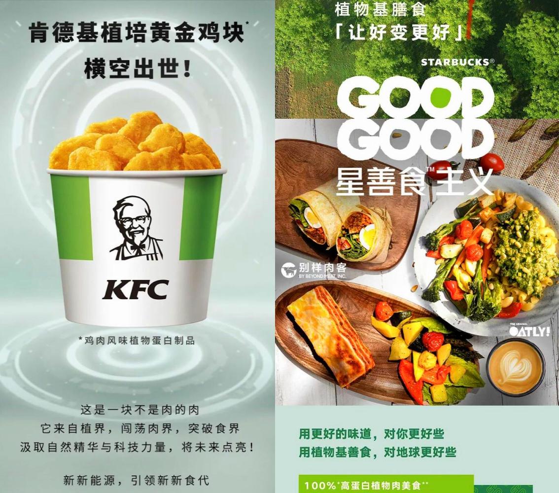 Five Takeaways for China’s Plant-based Meat Market in 2020 | ChemLinked